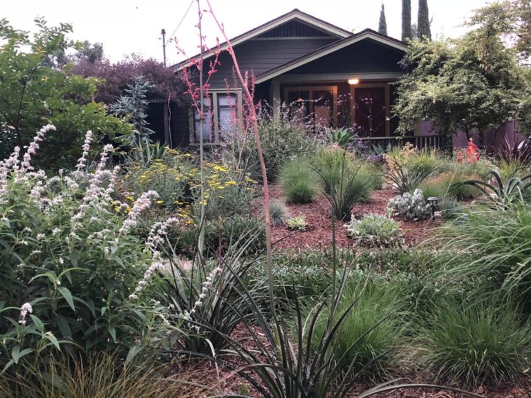 Colorful Watershed Front Landscape by Ketti Kupper Conscious Life