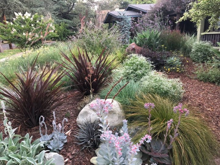 Colorful Watershed Front Landscape by Ketti Kupper Conscious Life