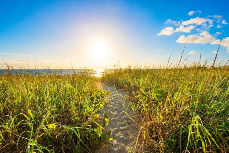 Sumptuous oceanfront residence in Florida with dramatic Atlantic Ocean ...