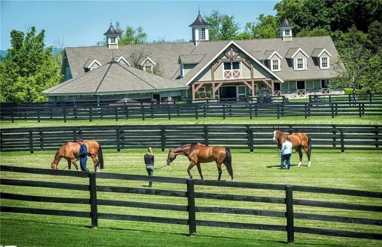 This Extraordinarily One-of-a-kind Equestrian Compound is an Ideal ...