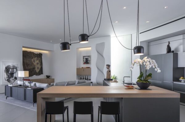 aMa House with gallery space to show art collection by XTEN Architecture