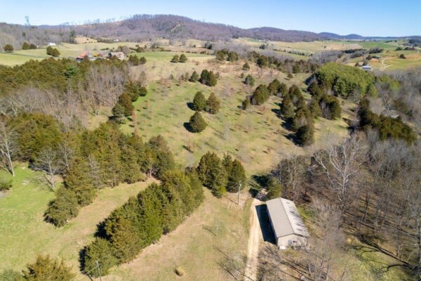Discover Tranquility and Luxury at Lingonberry Farm: An Exceptional ...