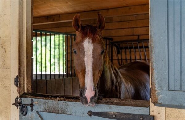 Exquisite 16 Acre Equestrian Estate In Greenwich Connecticut Listed