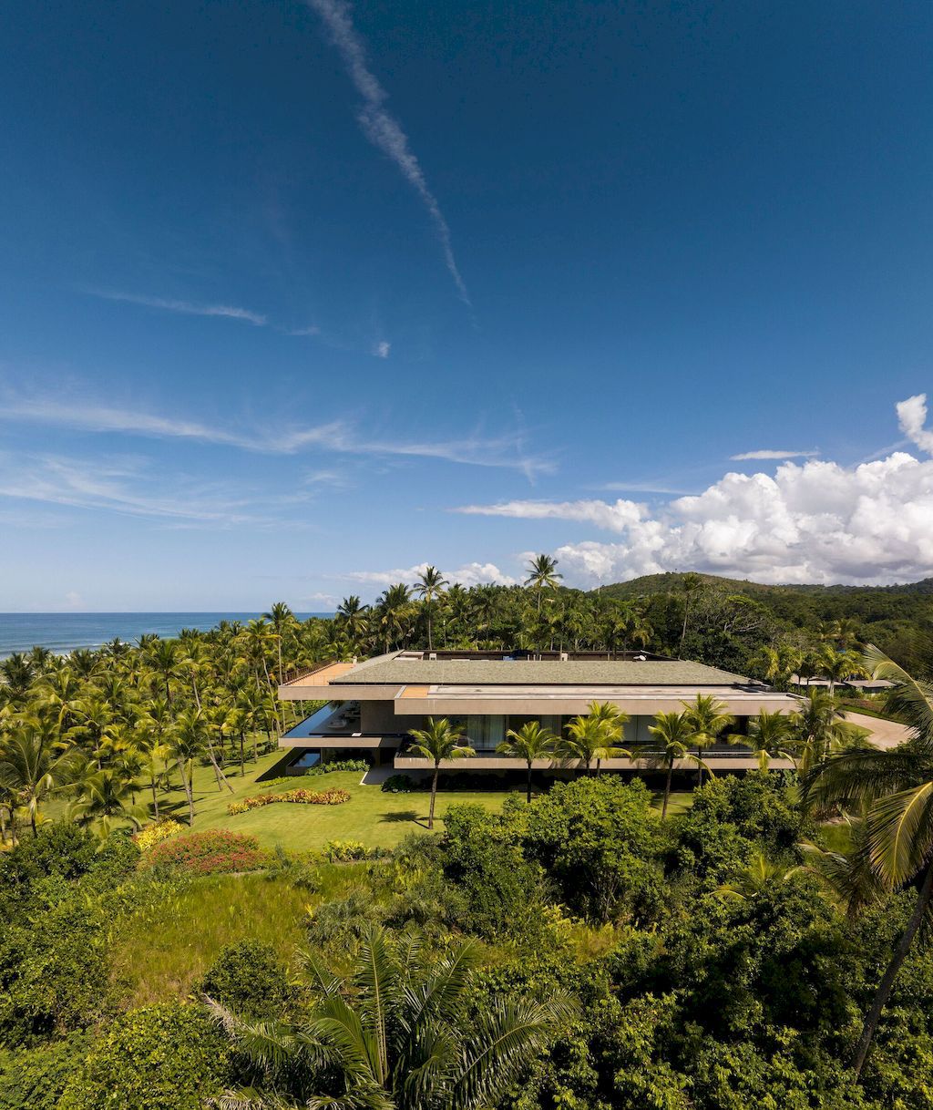 01 TVN House, Disguised among the Vegetation Saraiva e Associados