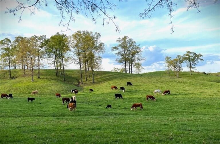 Georgia's Premier 800-Acre Legacy Property Offers the Ultimate Country ...